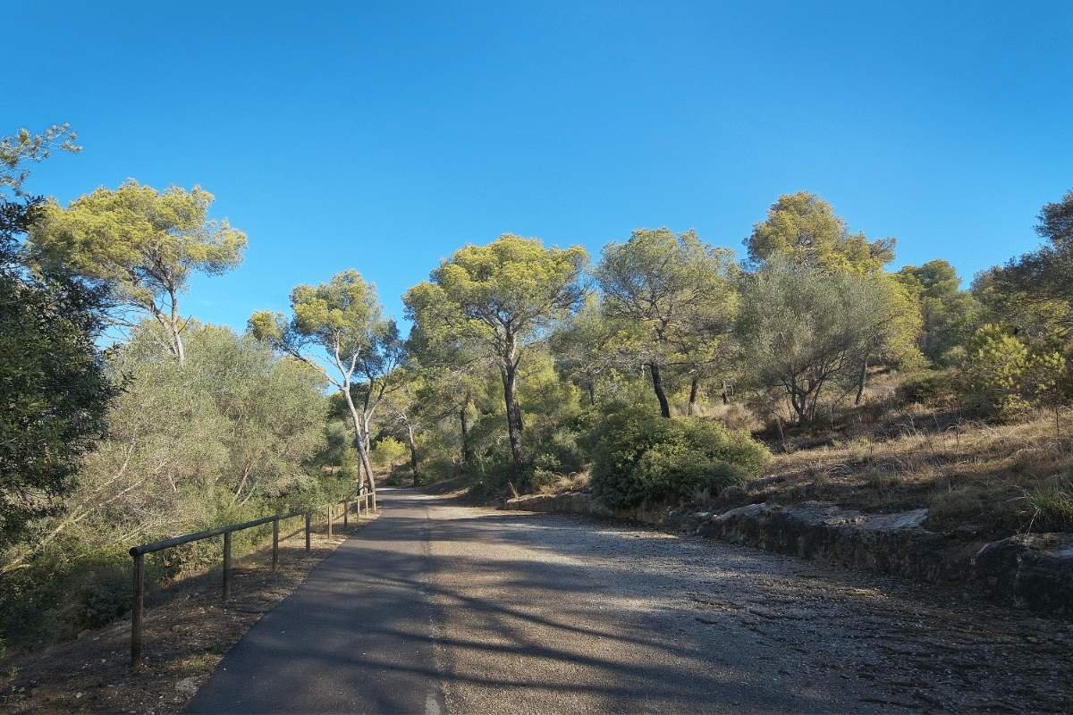 Excursión al Castillo de Bellver - Agenda de Isa