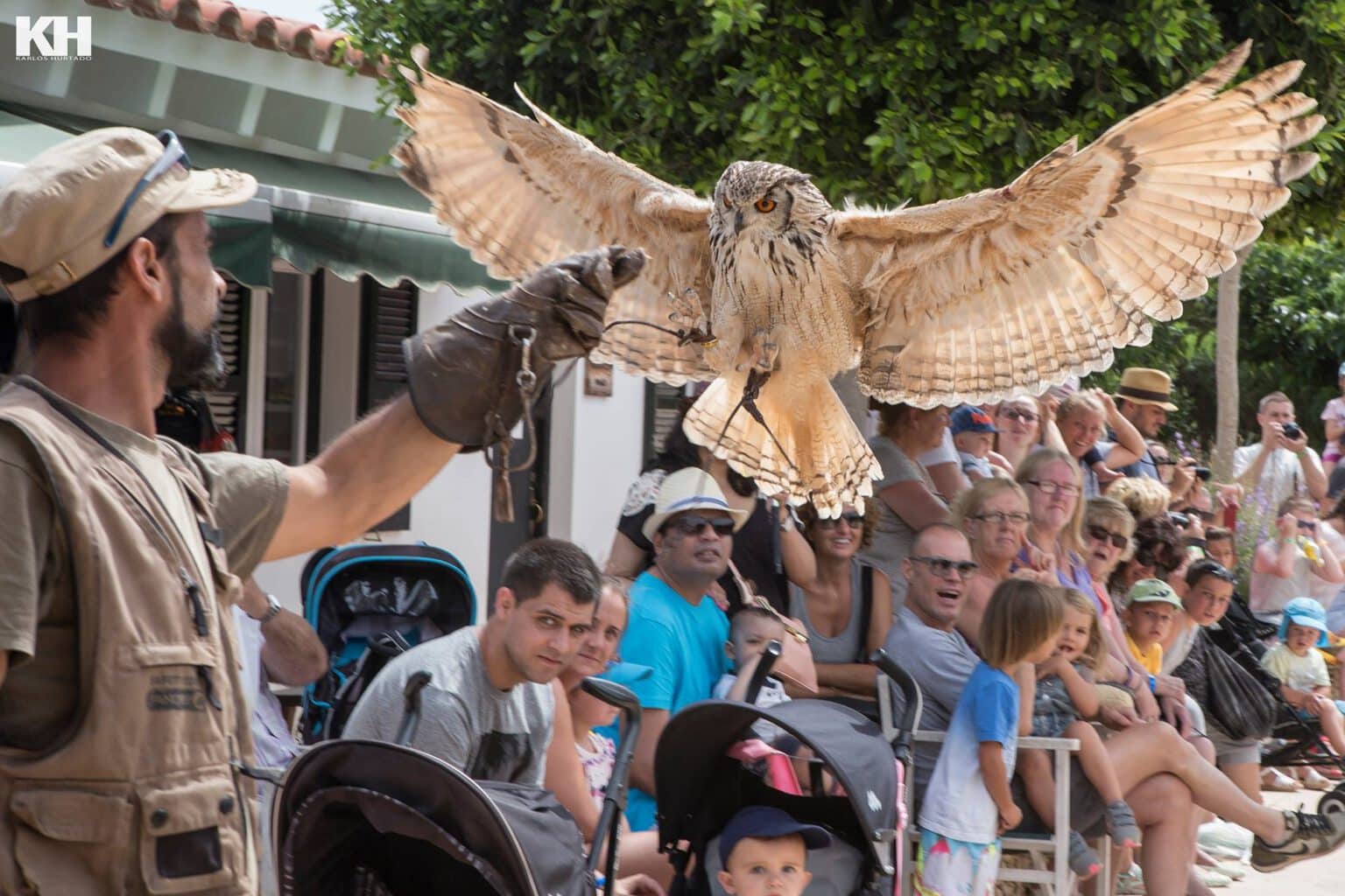 Lloc de Menorca en familia. Un zoo diferente | Atracciones