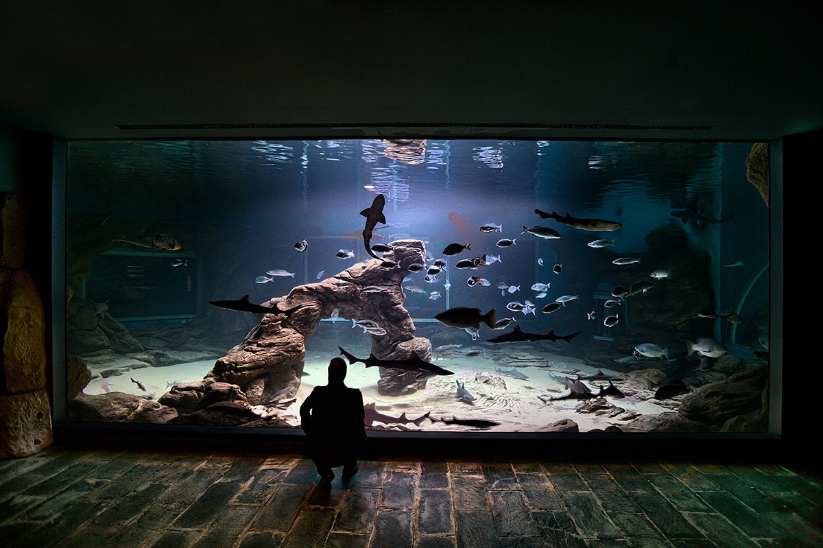 Museo Marítimo del Cantábrico en Santander | Atracciones